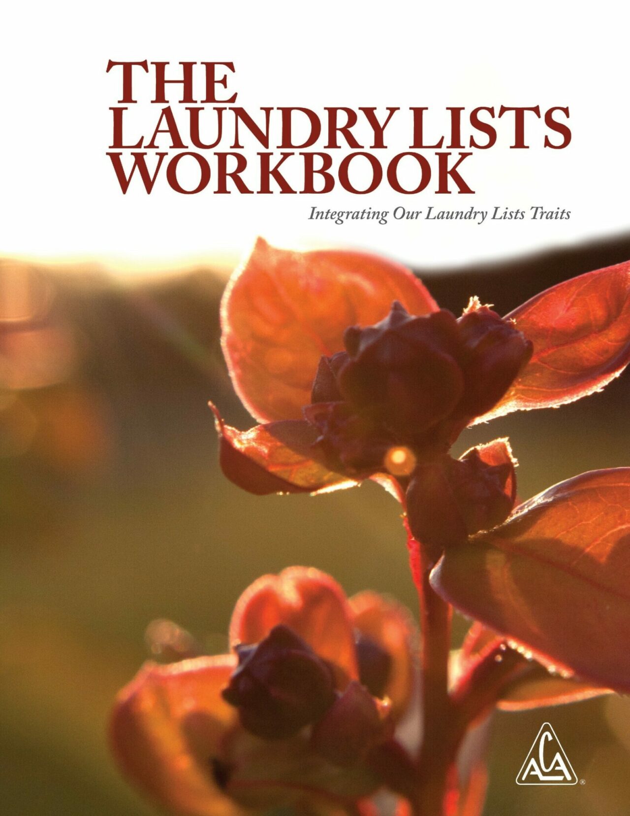 The Laundry Lists Workbook | Adult Children of Alcoholics ...